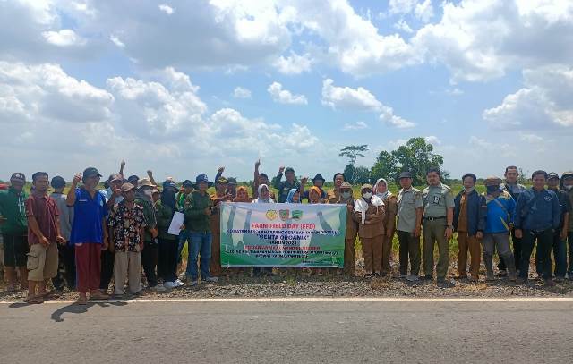 Masifkan Genta Organik, Kementan Kawal Sekolah Lapang di Kalimantan Tengah Masifkan Genta Organik, Kementan Kawal Sekolah Lapang di Kalimantan Tengah